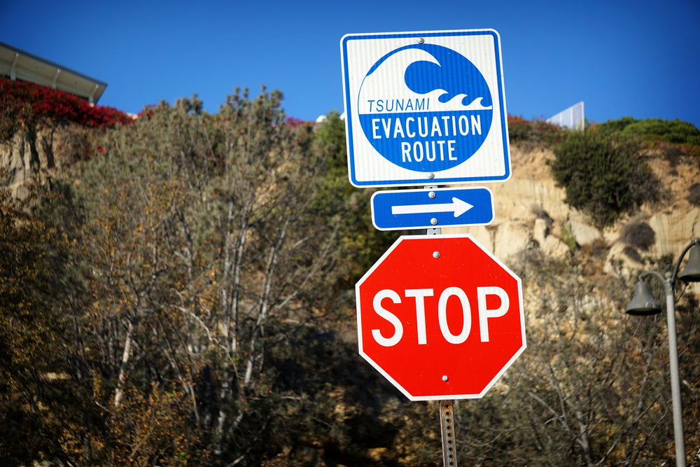 Florida Experienced a Meteotsunami Triggered by Storms